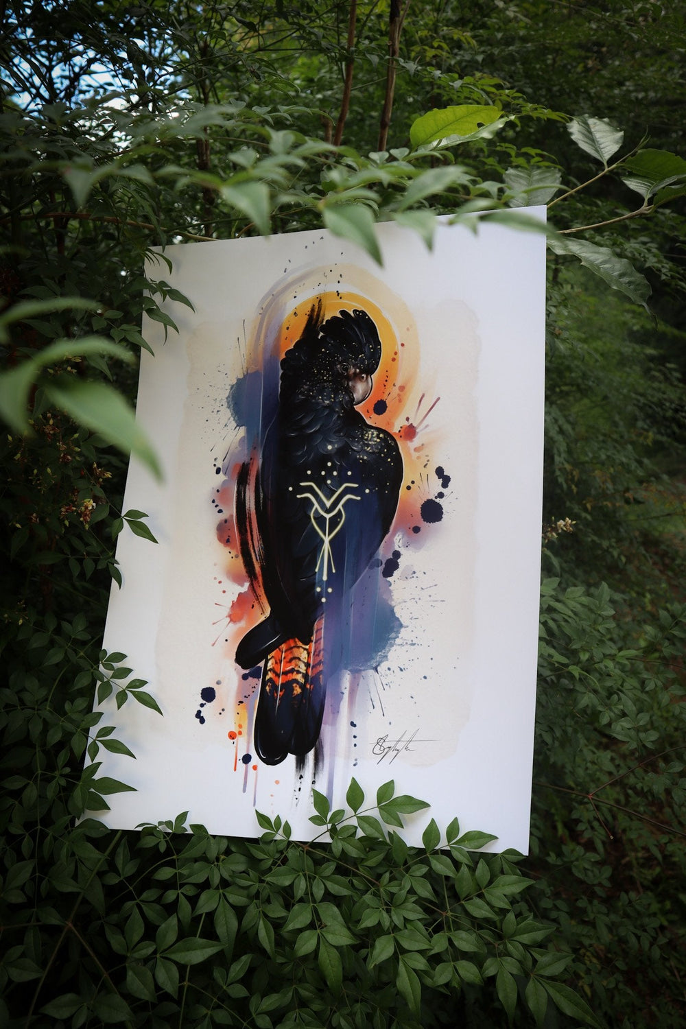 Collections – Stacey Nightingale