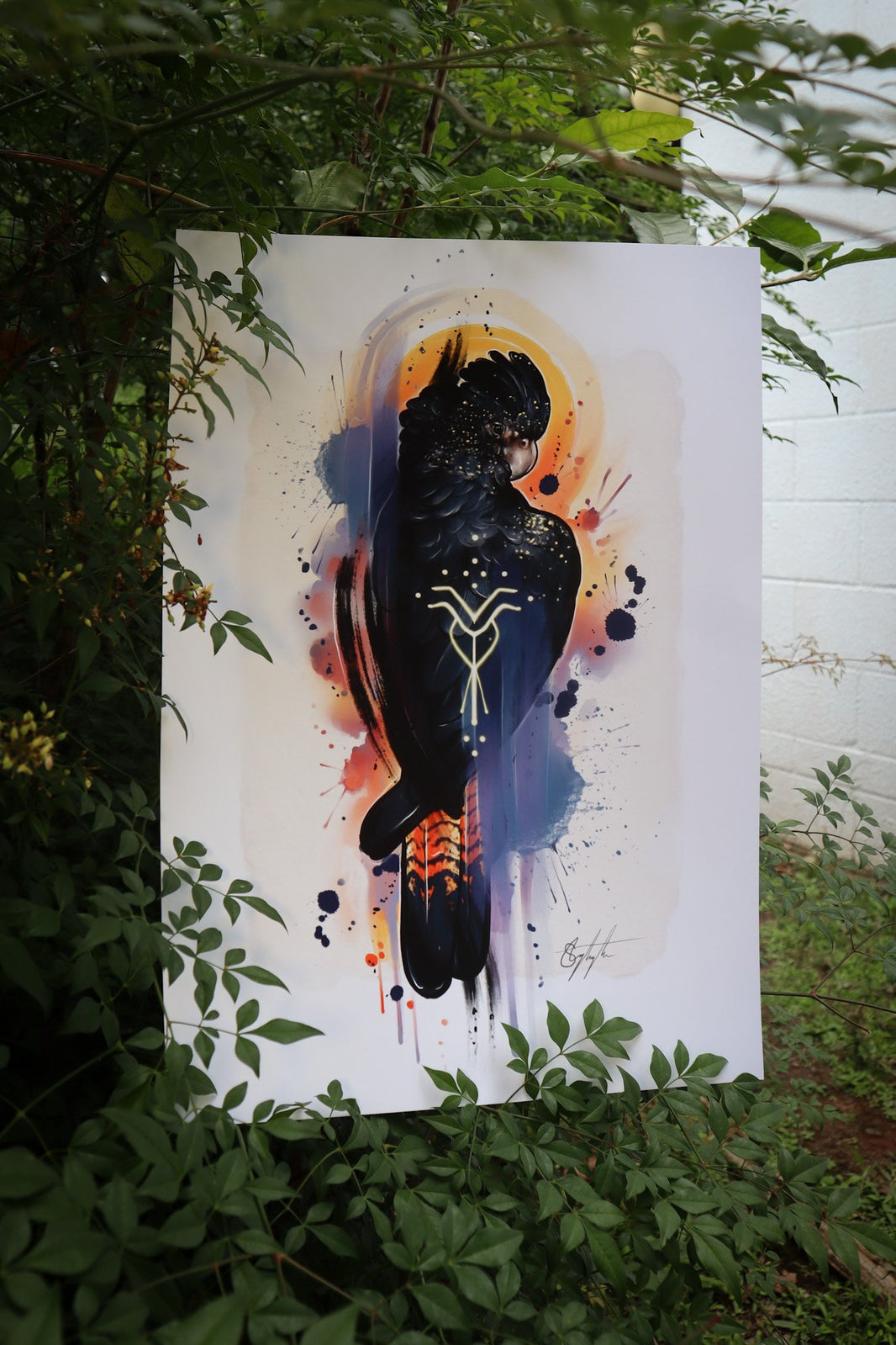 Art Prints – Stacey Nightingale